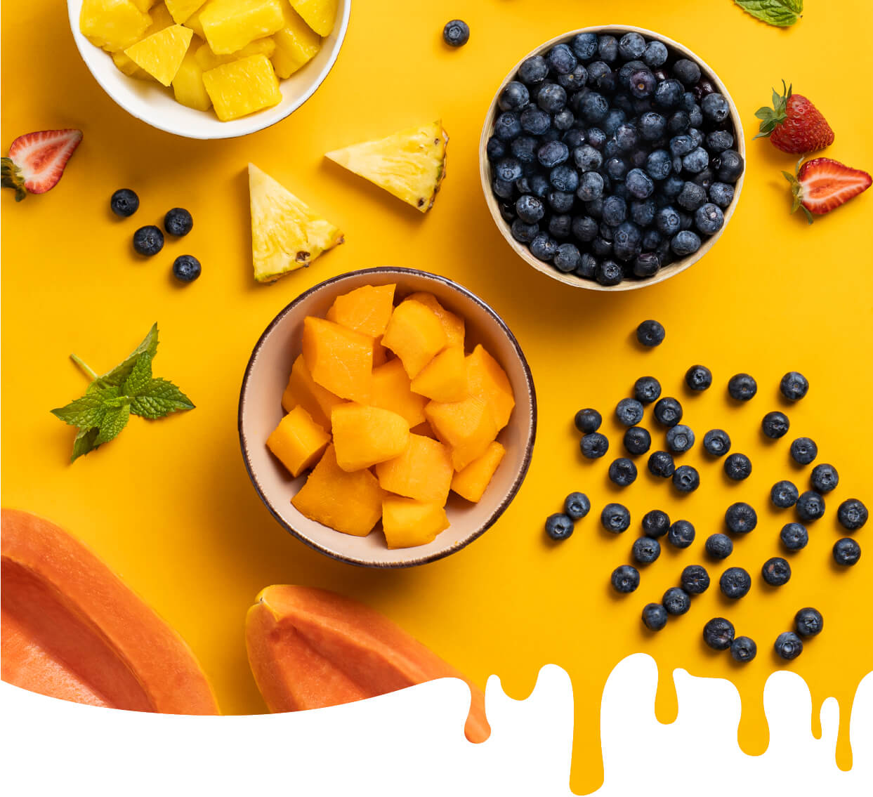 Congelados & Helados